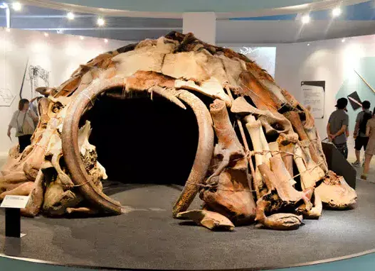 The Use of Limestone in Gothic Cathedrals - Dok Arch